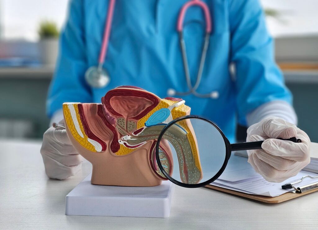 Surgical Options For Enlarged Prostate: TURP, TUIP, And Simple ...