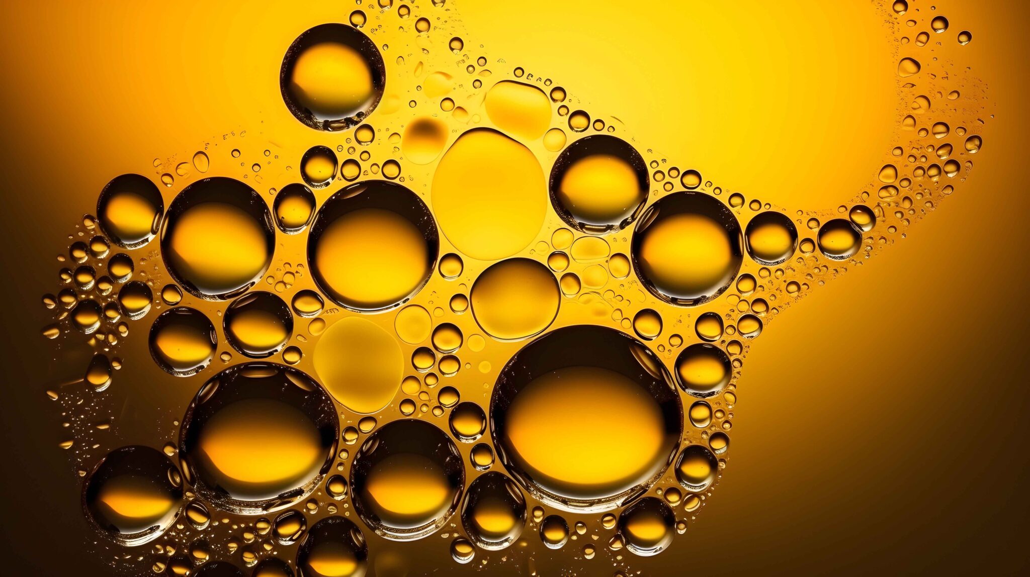 Foamy Urine - Doral Health & Wellness NY