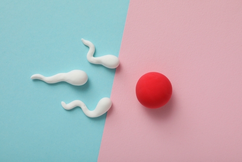 Low Ovulation & Fertility: 9 Warning Signs And What To Do Next