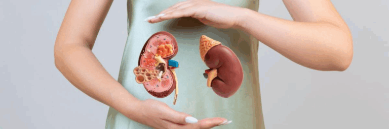 The Gut-Kidney Axis: How Digestive Health Affects Renal Function